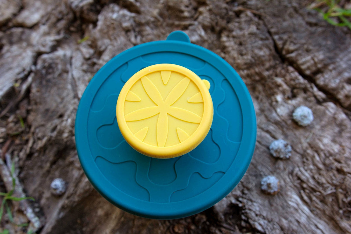 Behind the Scenes: The Making of New Blue Water Bentos